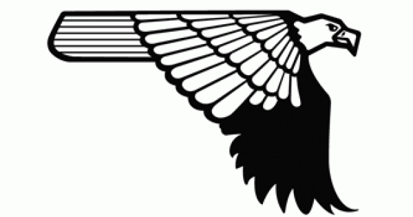 Desert Eagle Pistols