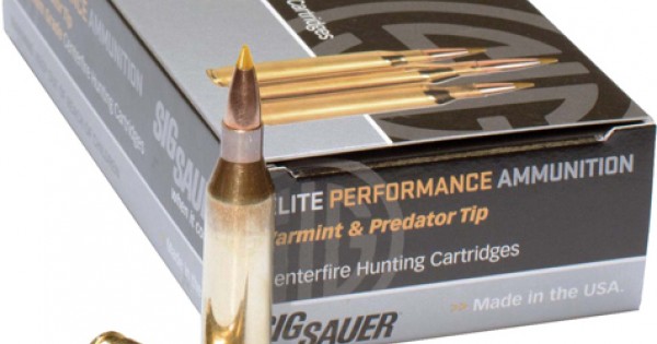 sig ammo .30-06 sprg.