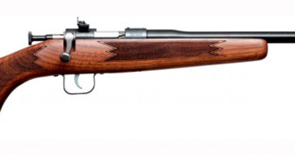 Chipmunk Rifles : CHIPMUNK RIFLE DELUXE .22LR BLUED/WALNUT