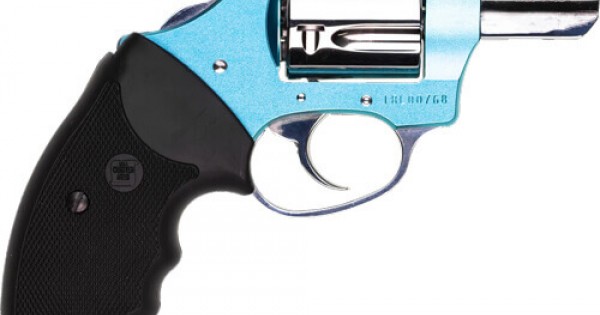 charter arms blue diamond