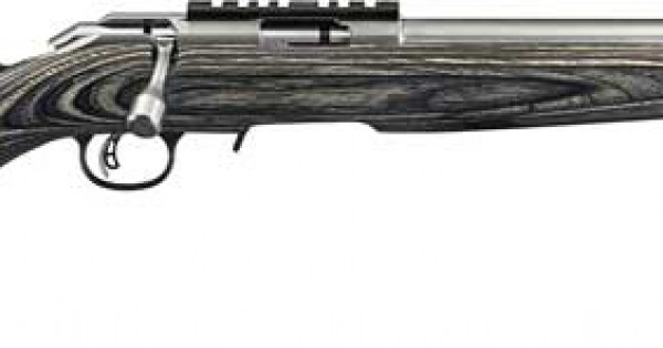 Ruger Rifles : ruger american .22wmr target