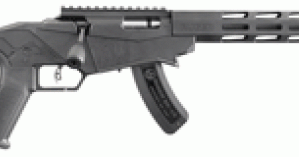 ruger precision rimfire .22lr