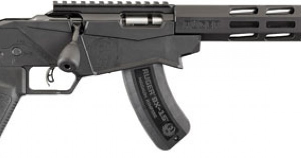 ruger precision rimfire .22wmr