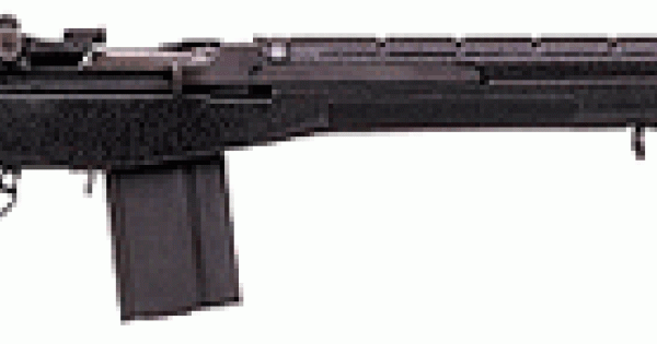 Springfield Armory Rifles : springfield loaded standard m1a